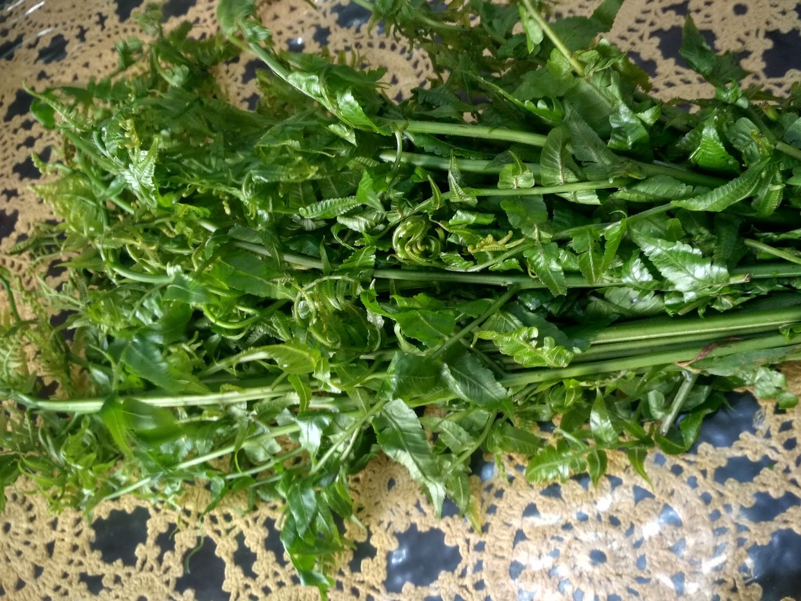 Stir Fried Vegetable Fern