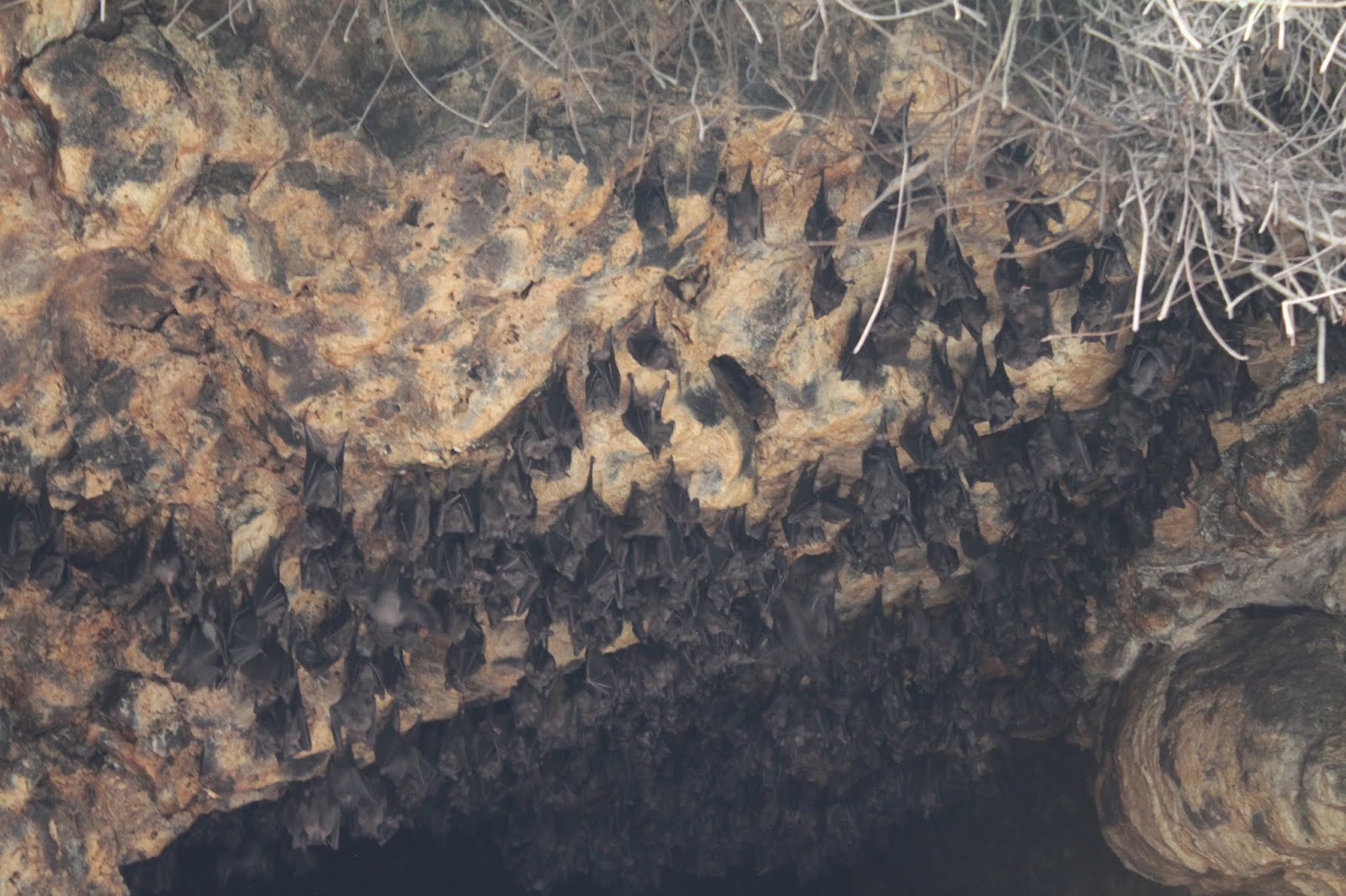 Akshay Hiremath: My Visual Travel Experience: Bali