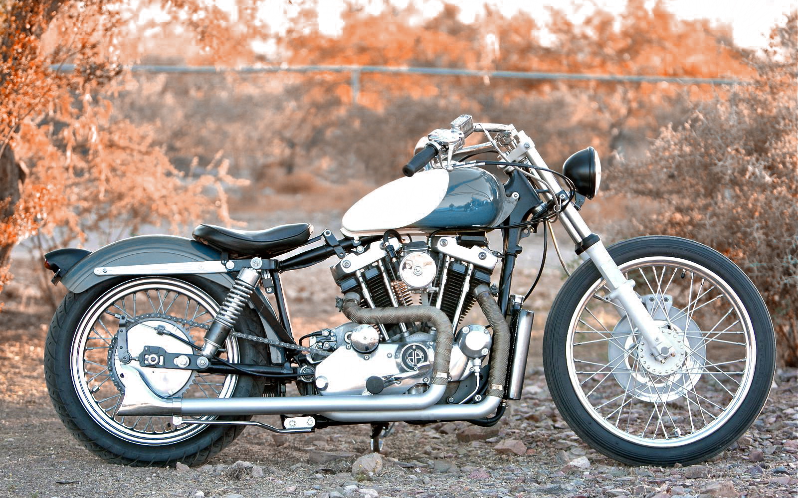 Beach cruiser - Inazuma café racer