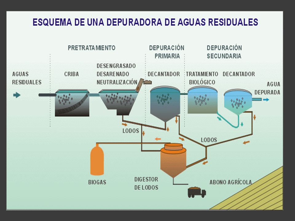 Arboreto Luis Ceballos: Contaminación biológica y depuración del agua.