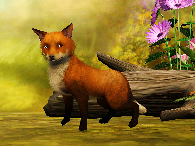 Gelina's Sims 3 Blog: Foxes - Peony and Cookie [requested on my tumblr]