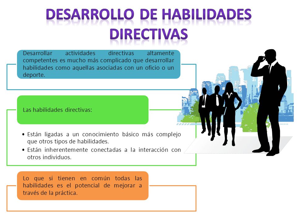 HABILIDADES DIRECTIVAS I