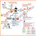 French Revolution Mind Map - Class 9th History - Study Rankers