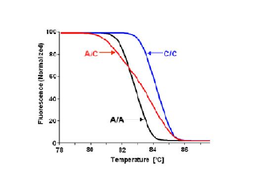 Real time PCR 노트: [qPCR tip] HRM (high resolution melting) -1