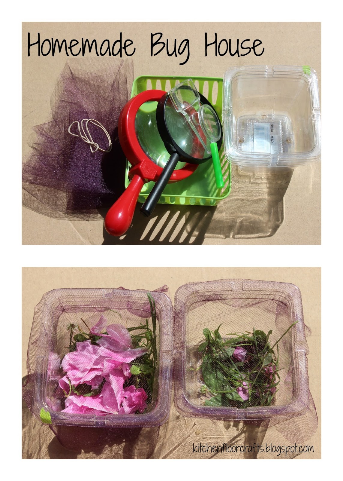 Kitchen Floor Crafts: Bug Week (Simple Summer Theme #1)