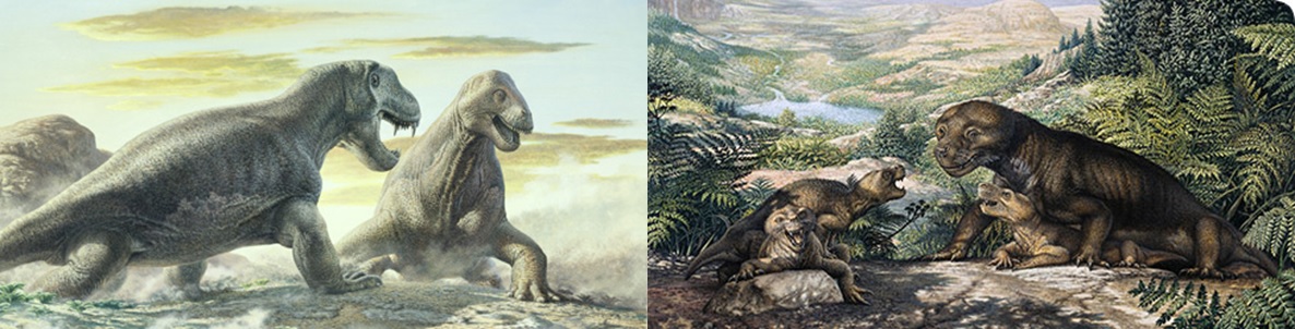 Palaeos, la historia de la Vida en la Tierra: Notas cortas: Una pareja ...