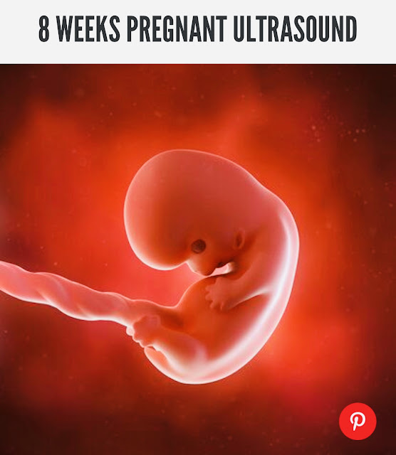 PREGNANCY WEEK 8 ~ HEALTH and FITNESS