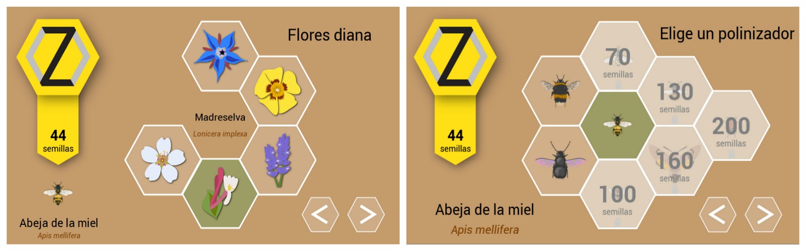 Biblioteca Pública Municipal Ana de Castro: CIENCIA EN CASA CON EL CSIC