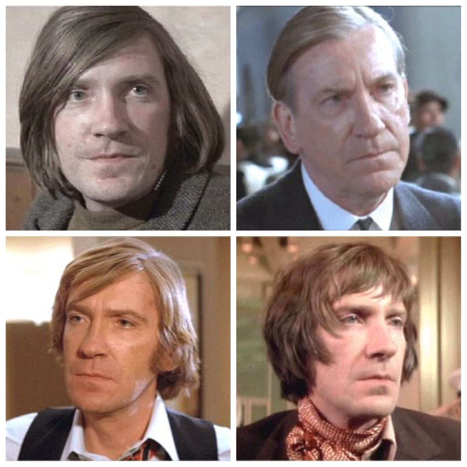 Attempting To Be A Domestic Goddess: Eye to Eye Contact!