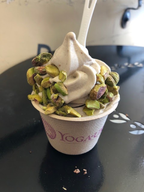 Fro-Yo Girl Speaks: Best New Froyo Flavors of 2019