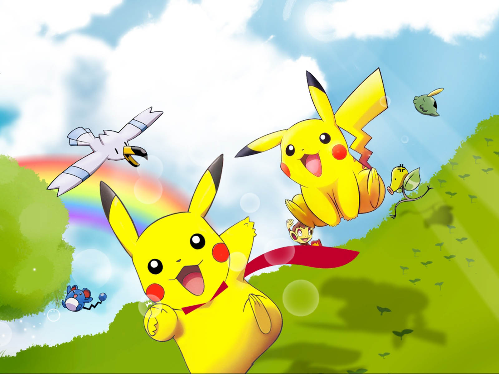 Pikachu Pokemon ~ picture for wallpaper