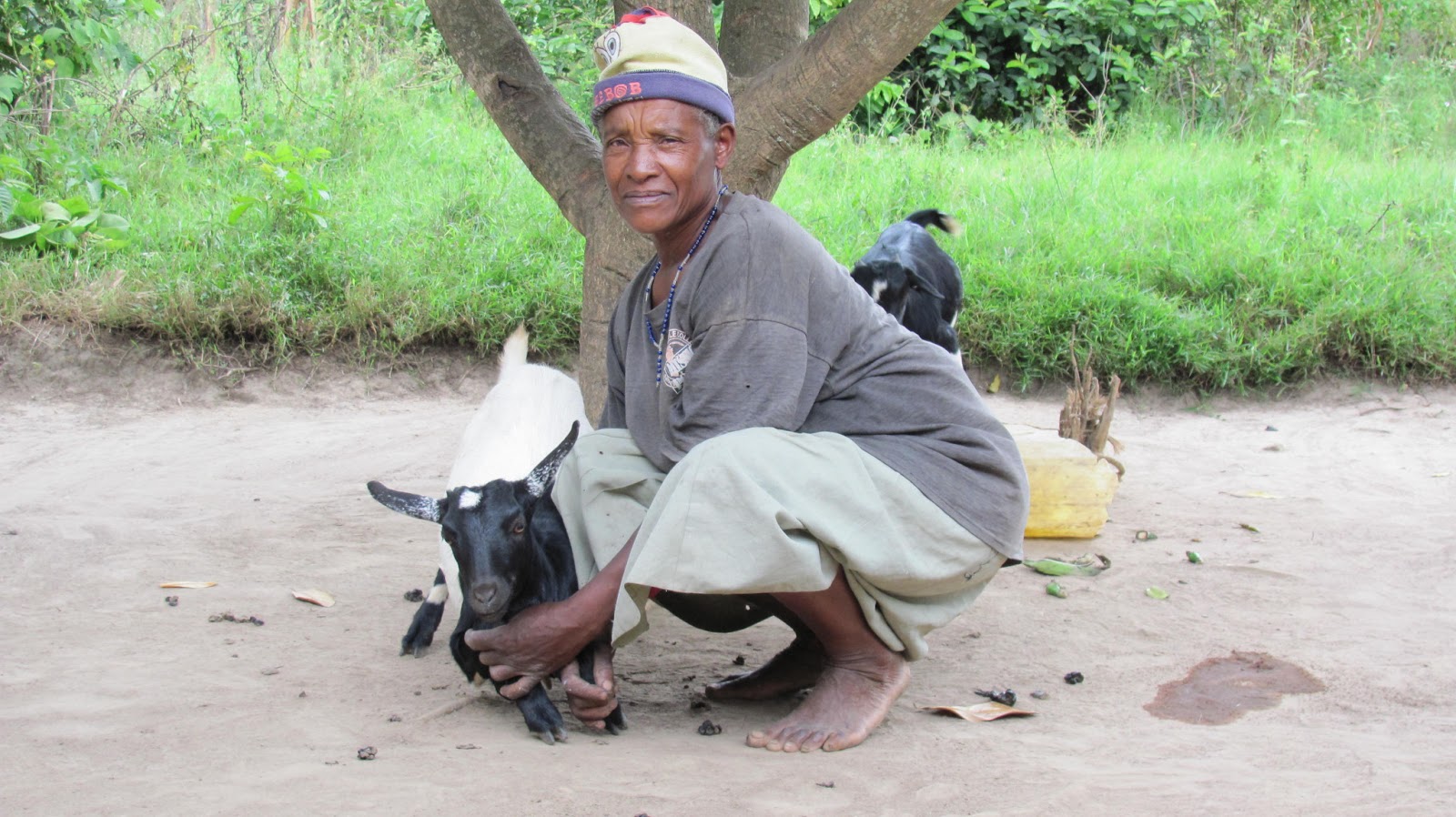 Uganda Goat Project 2013: Challenges and Success Stories