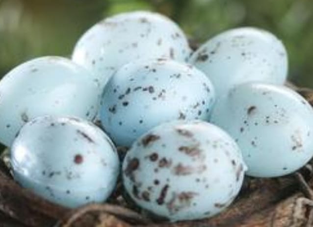 I Can Work With That; Refashions by Chickie W.U.: Robin's Egg Blue