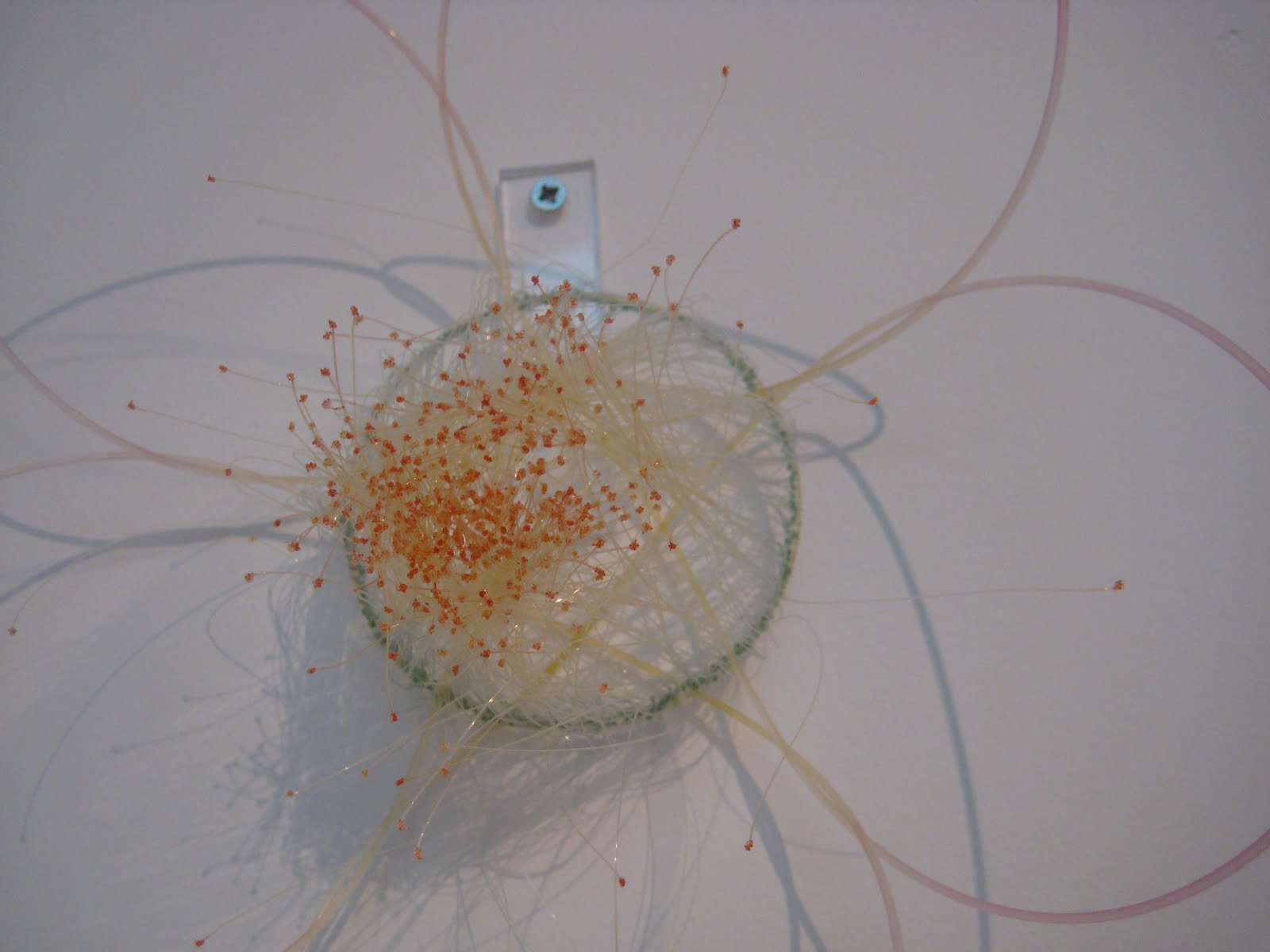 Ffion Griffith: Nora Fok's incredible structures.