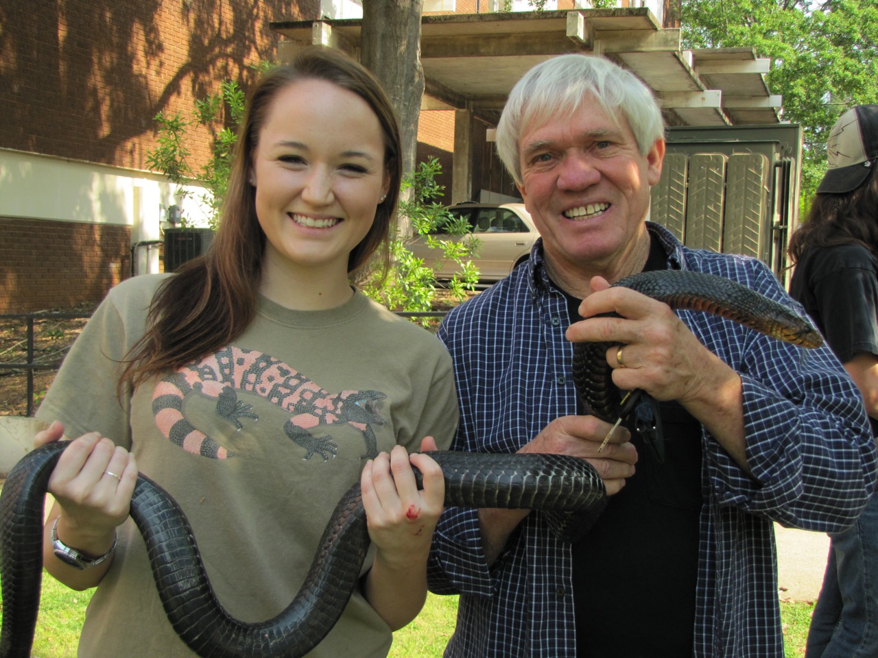 Salamander-Shmalamander: 2012