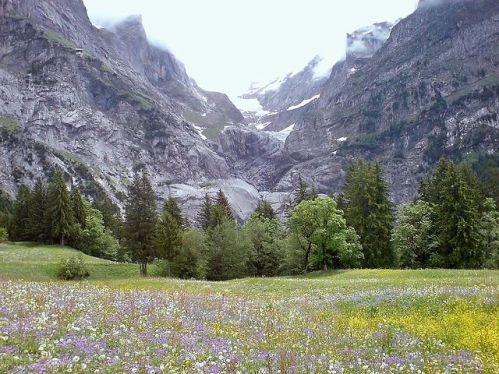 EKOGEO: STEPA : BENTANG ALAM DI DAERAH KERING