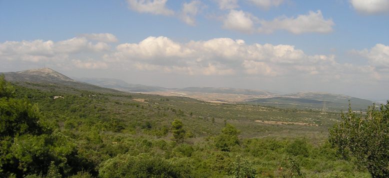ΤΑΞΙΔΙΑ ΜΕ ΕΝΑΝ ΕΥΡΥΓΩΝΙΟ: ΠΑΡΝΗΘΑ, ΦΡΟΥΡΙΟ ΦΥΛΗΣ, ΔΕΡΒΕΝΟΧΩΡΙΑ, ΣΚΟΥΡΤΑ