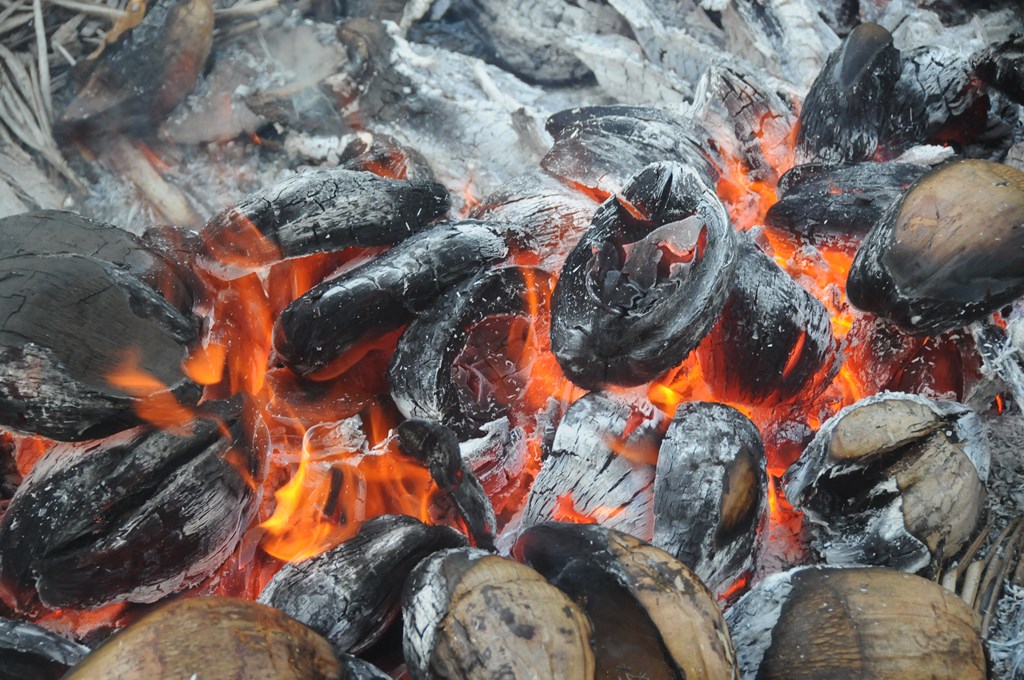 Sabay Dii: La récolte du coprah