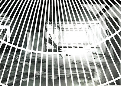 Lauren Carr: Dark Room Experiments.