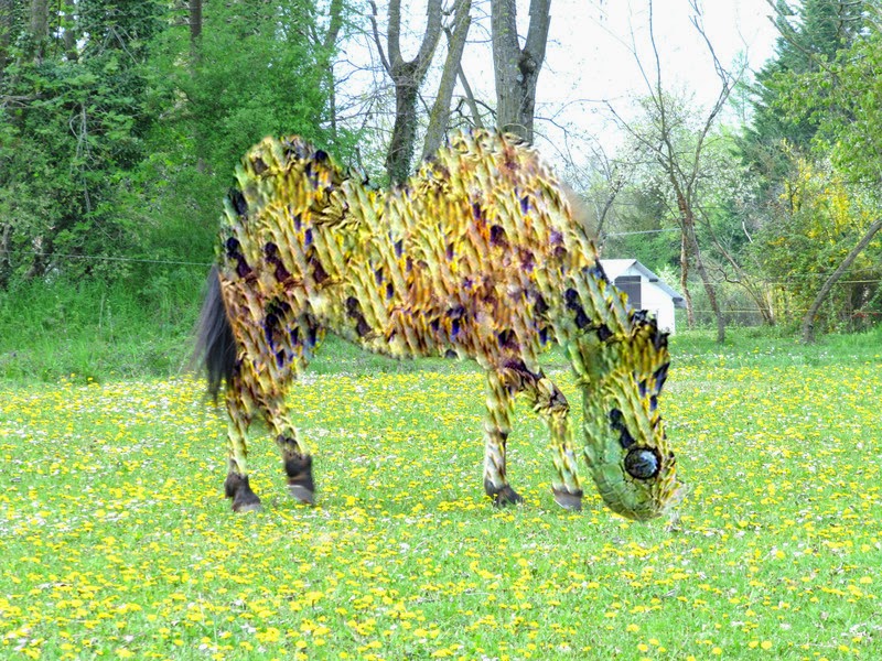 Art Alley: Chimera: MMS 6th Graders Use Photoshop to Create Chimeras