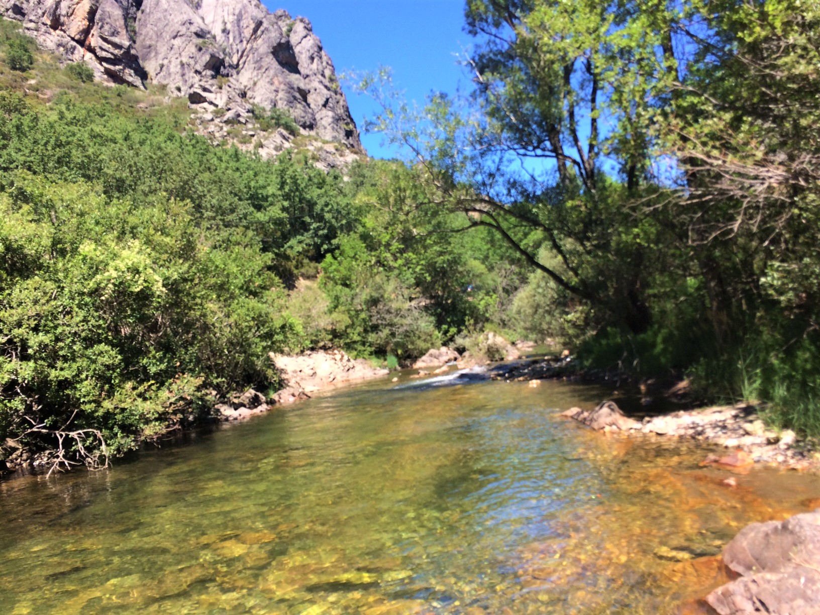 PESCARMONA51: El BOCYL ha publicado la orden a anual de Pesca, tramos y ... PESCARMONA51: El BOCYL ha publicado la orden a anual de Pesca, tramos y ...