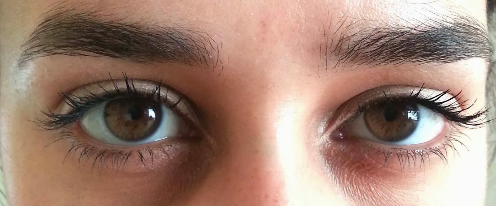 Le Blog du Maquillage: Maquillagepour des yeux marrons