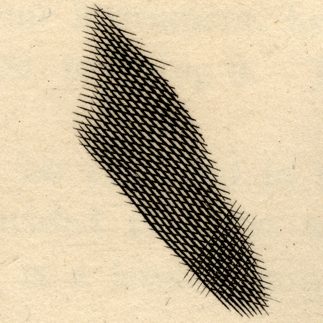 Prints and Principles: Traditional engraving techniques for rendering ...