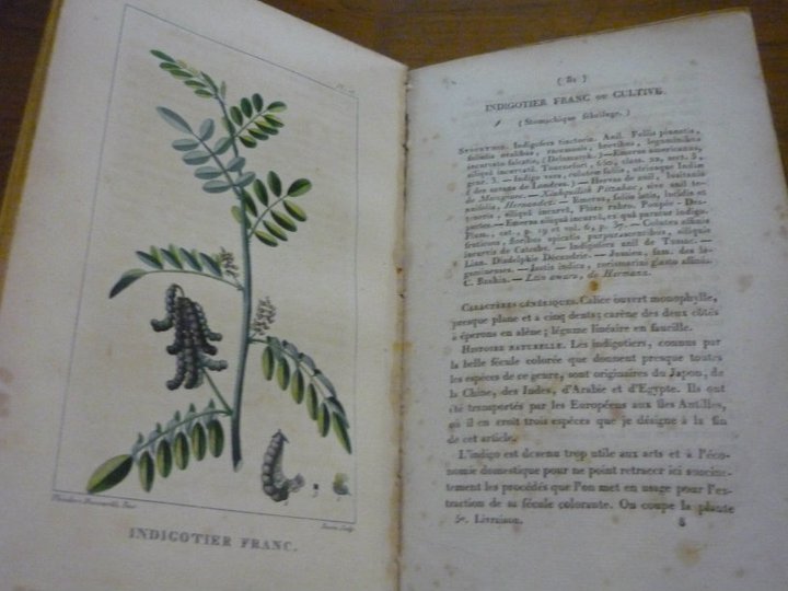 Claudia Martínez: TINTES NATURALES / Añil - Indigo - Mutuy cube- Tayum ...