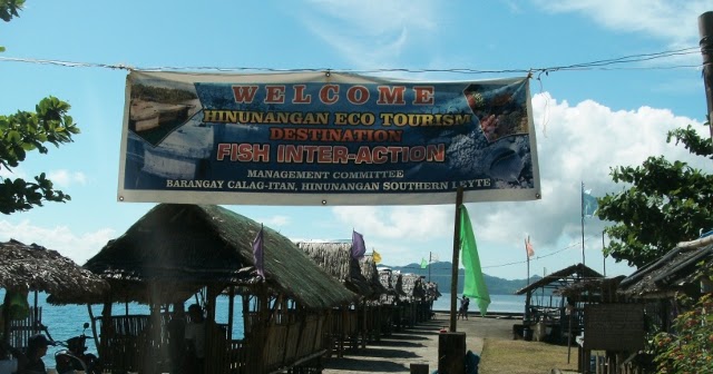 Wandering Turista: Fish Interaction, Barangay Calag-Itan