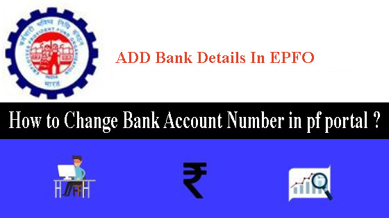 7 Step To Add Bank Details In Epf Account How To Change Bank Account 7-step-to-add-bank-details-in-epf-account-how-to-change-bank-account