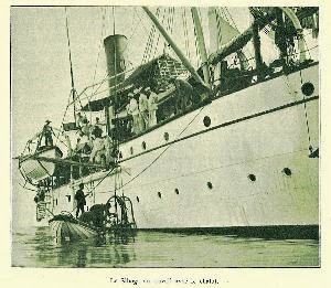 The Echinoblog: Classic Echinoderm & Starfish Taxonomy Monographs ...