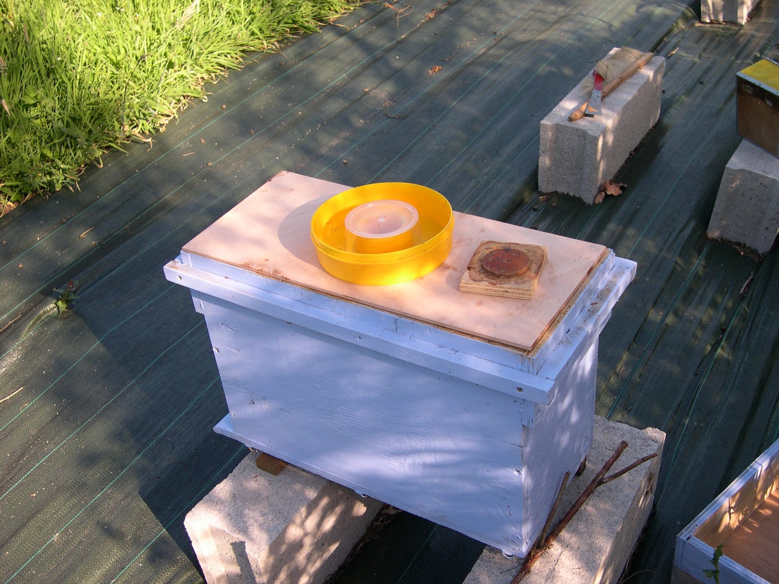 Bees in Brittany: Hives, Honey Supers, Mini Hives and Nucs.