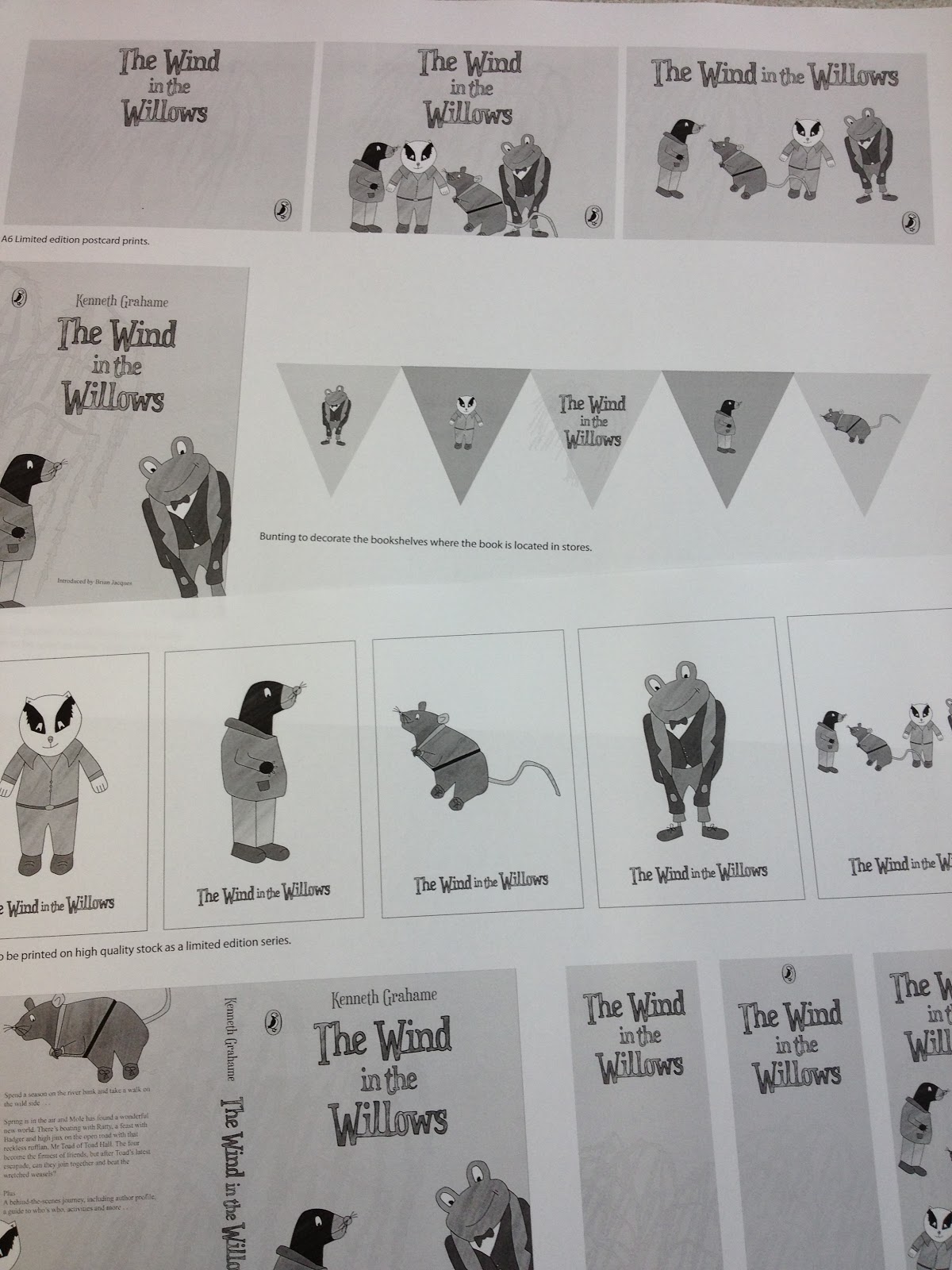 Design practice.: The Wind in the Willows; boards for tutorial/next crit.