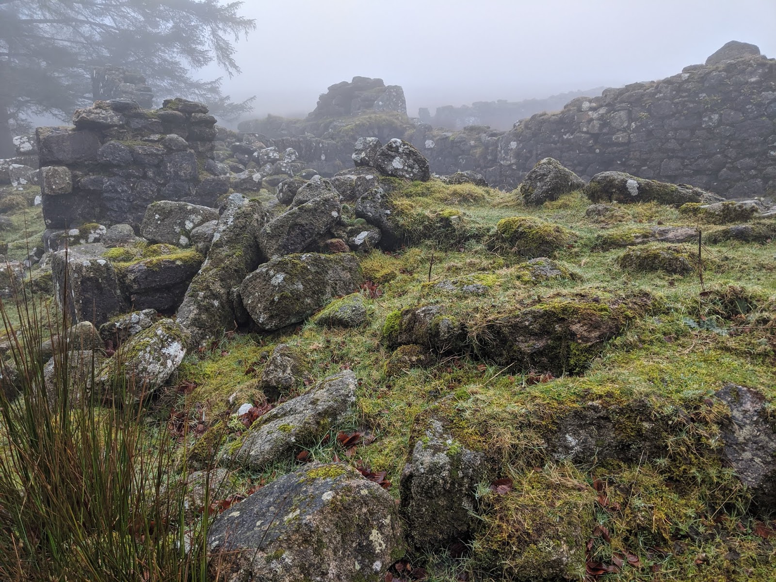 Max Piper - Tor Bagger: Dartmoor: Back to Fernworthy Forest (11.77 miles)