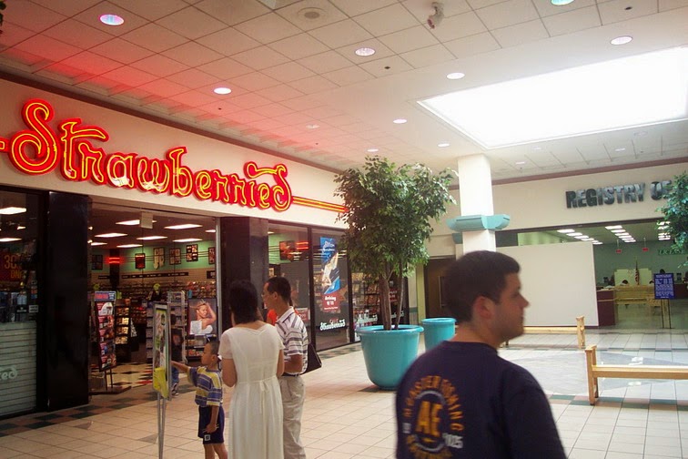 Trip to the Mall: FLASHBACK: 1980's Academic Consumerism Synopsis