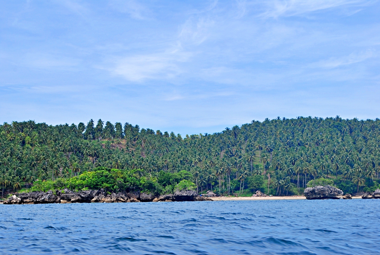 Throwing Coins at Rio Grande and the Fictional Apocalyptic Island of ...