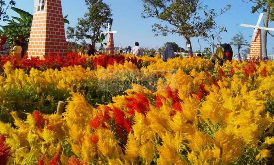 Paling Keren 27+ Gambar Taman Bunga Malam - Gambar Bunga Indah