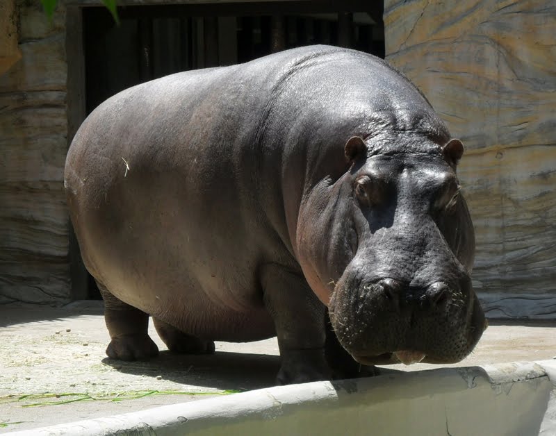 Freelance Flaneur: A childish day out again again again again again ...