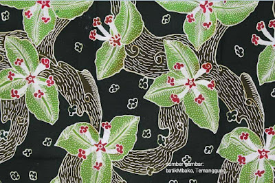 Mengenal 3 Motif Batik Temanggung - rahayupawitriblog.com