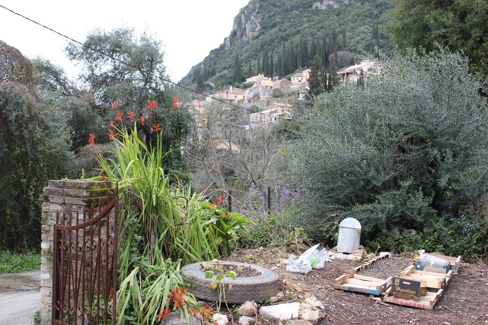 ecocorfu: 2013