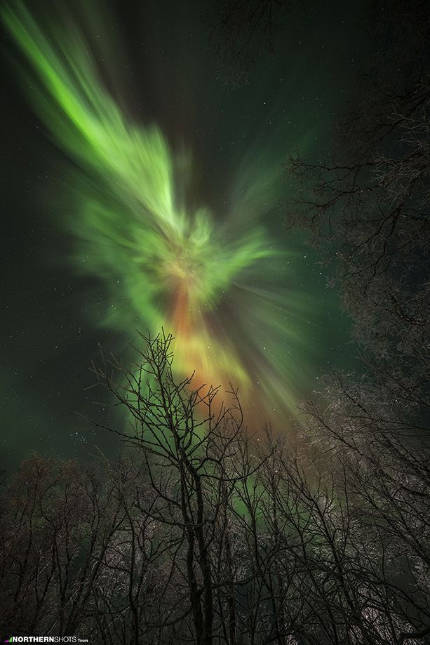 Aurora Boreal - Doc Sports™