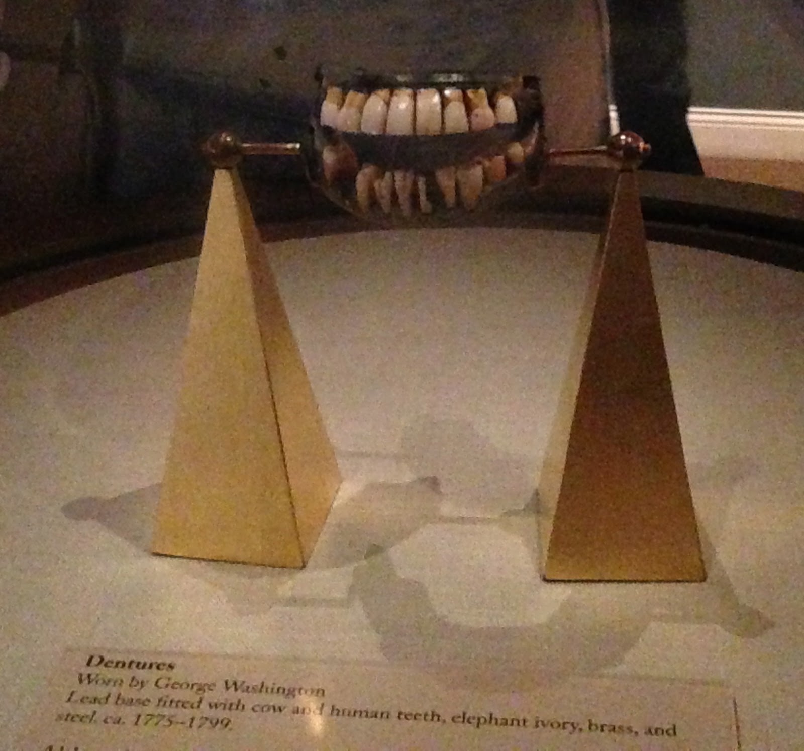 Got Teeth?: George Washington's Teeth
