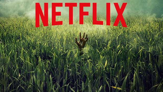 Netflix Now In The Tall Grass 2019 Reviewed