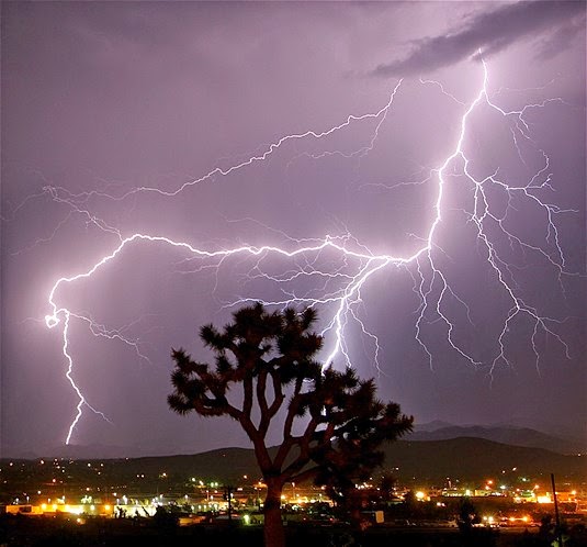 Não Questione: RELÂMPAGOS FEREM 14 PESSOAS NA CALIFÓRNIA