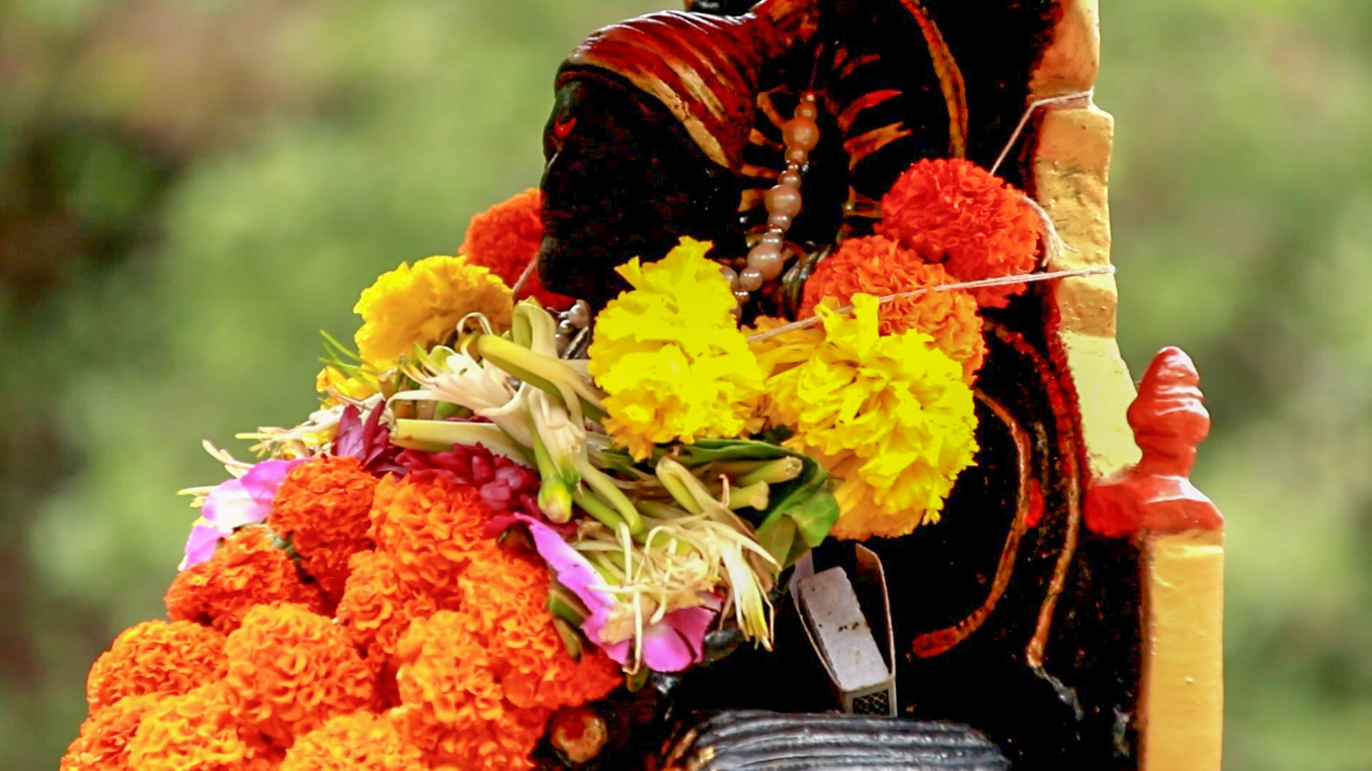 One Day Trek Mahuli Fort Asangaon Maharashtra - AnilBlogs