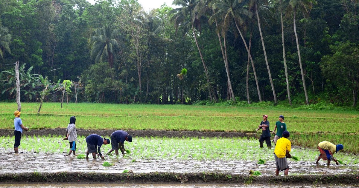 The Nomadic Pinoy: Bohol Countryside Tour