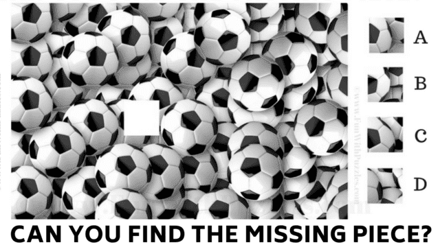 Crack the Puzzle: Brain-Teasing Jigsaw Challenges