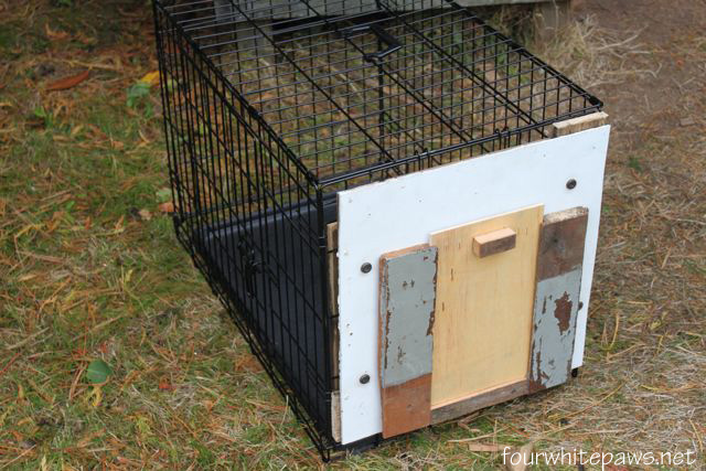 fourwhitepaws: have drop trap need courage