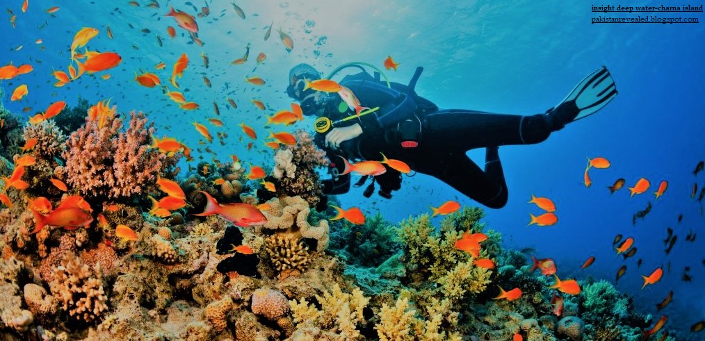 Charna Island (Karachi-West) - Moiz Pakistan