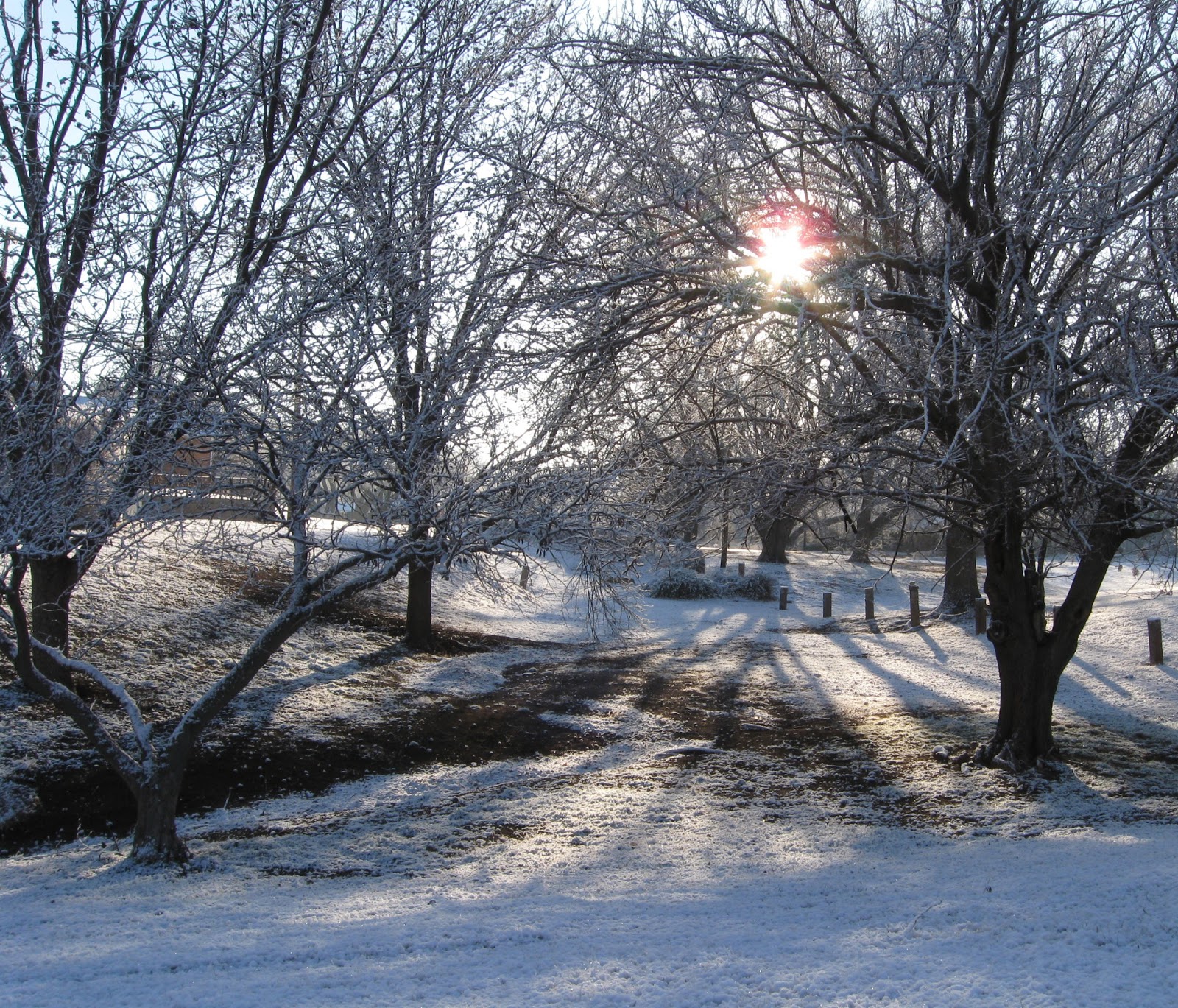 Keeping Up: Snow Haiku